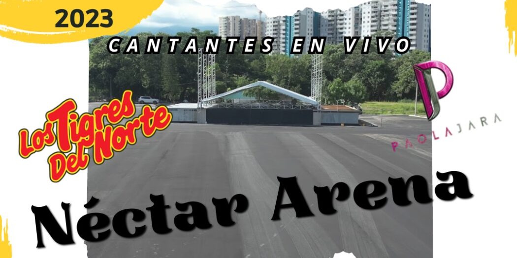Néctar Arena: de Ibagué para el mundo - A La Luz Pública - Noticias de ...